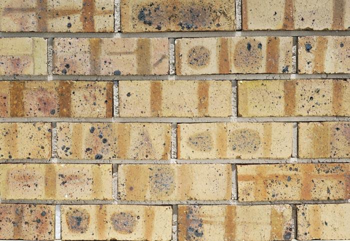 NFP - Non Face Plastered | Clay Brick Association of Southern Africa